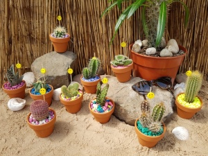 Pugh's Cacti - UK specialist wholesaler of Cacti & Succculents