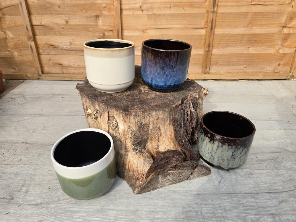 12cm Suez Pot- Empty (4) - UK specialist wholesaler of Cacti & Succculents