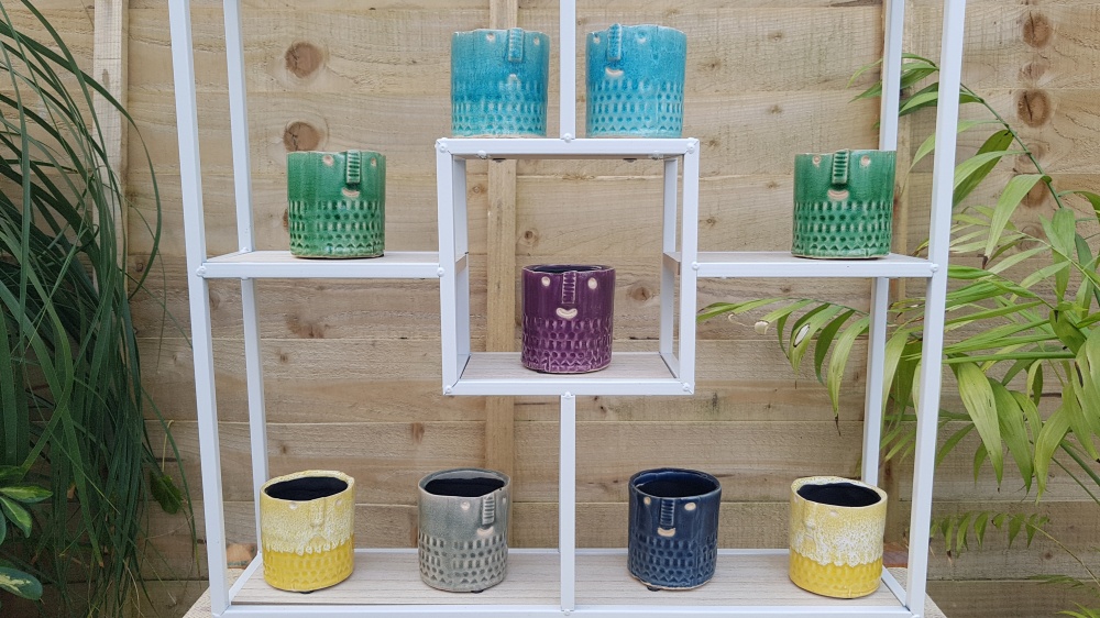 Zamora Face Pot - Empty - UK specialist wholesaler of Cacti & Succculents