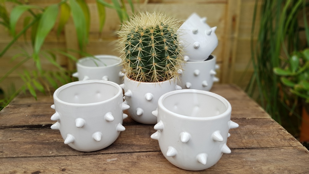 8.5cm Spikey Pot - Empty (6) - UK specialist wholesaler of Cacti ...